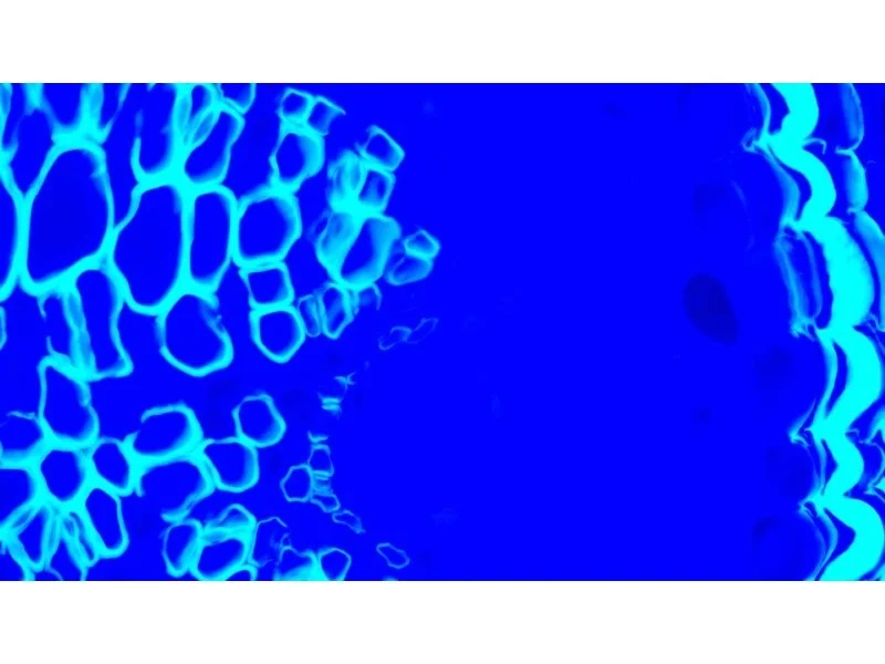 Nikon Ti2-U Inverted Fluorescence Microscope