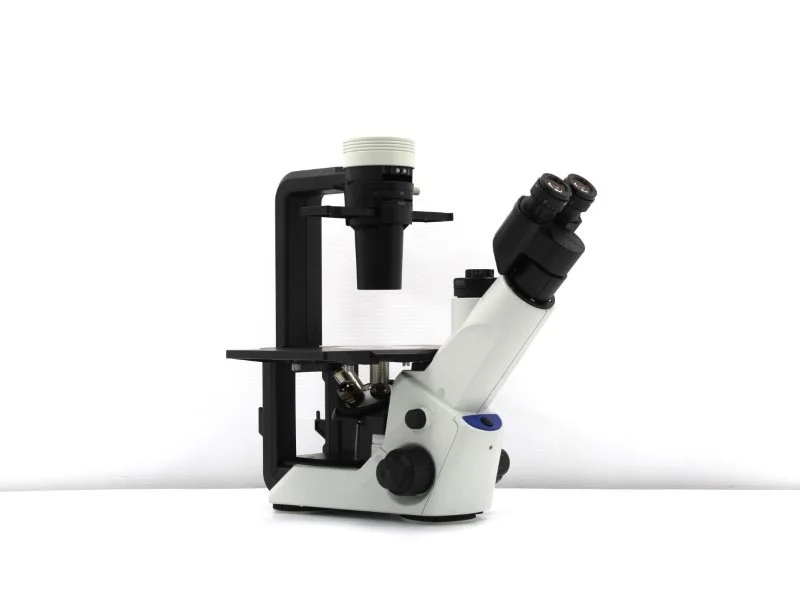 Olympus CKX53 Inverted LED Phase Contrast Microscope - AV
