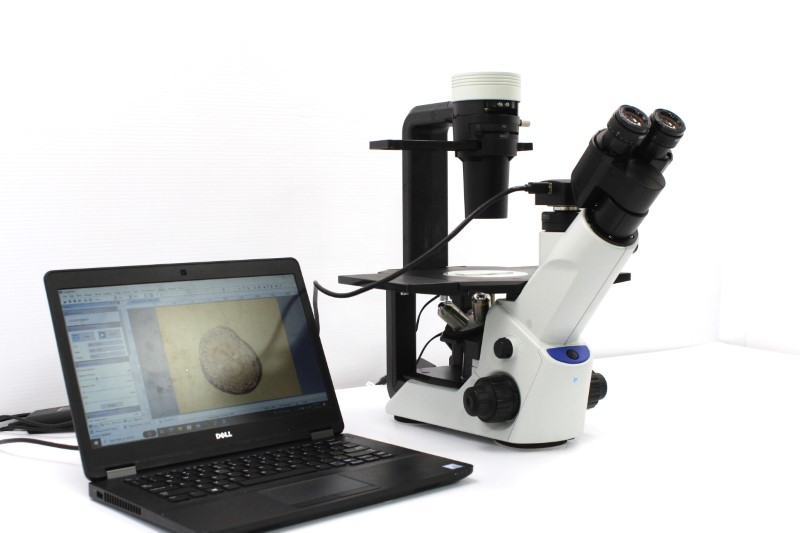 Olympus CKX53 Inverted LED Phase Contrast Microscope - AV